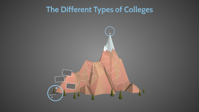 The Different Types of Colleges by Talib Muhammad on Prezi