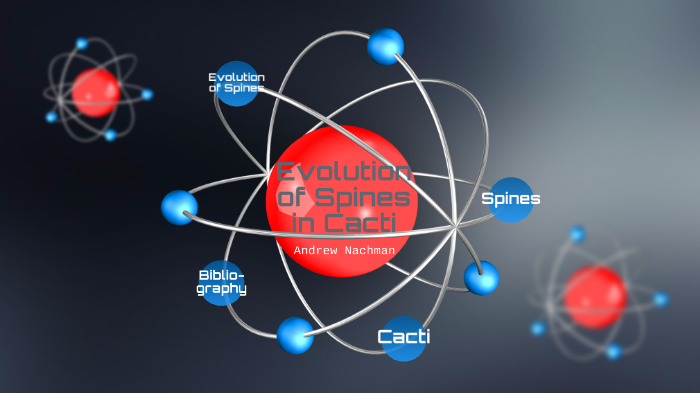 Evolution of Spines in Cacti by Andrew Nachman on Prezi