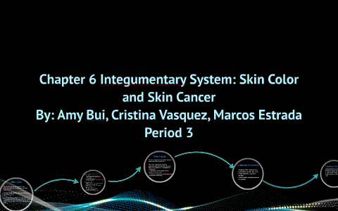 Chapter 6 Integumentary System: Skin Color and Skin Cancer by