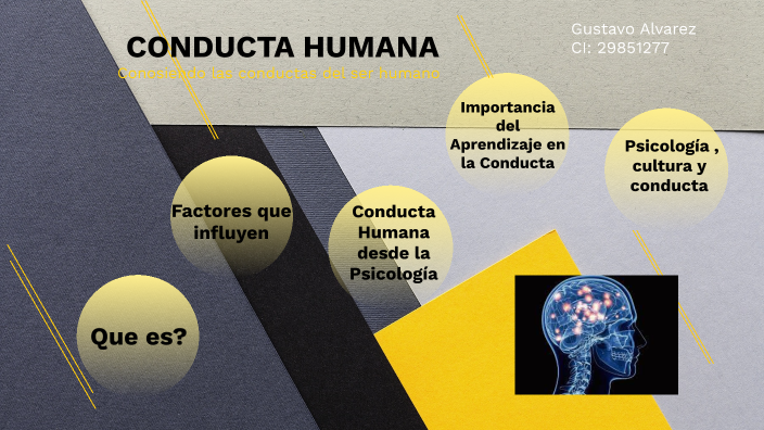 Conducta humana by Gustavo Alvarez on Prezi
