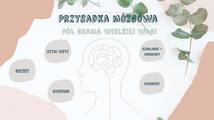 Przysadka mózgowa - pół grama ogromnej mocy! by Nadia Fedder on Prezi