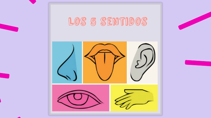 Los 5 sentidos by cintia acuña on Prezi