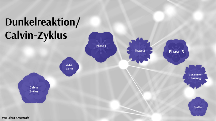 Einfacher Calvin Zyklus Photosynthese: Energie Aus Dem Sonnenlicht