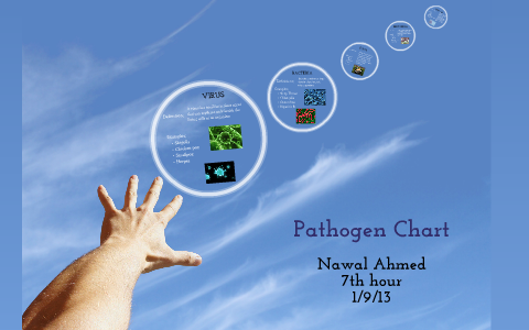 Pathogen Chart by nawal ahmed on Prezi