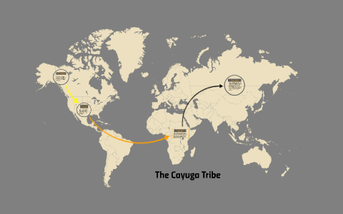 The Cayuga Tribe by Calum Stitt on Prezi