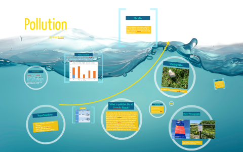 Pollution at Cronulla Beach by Tessa Dunkin on Prezi