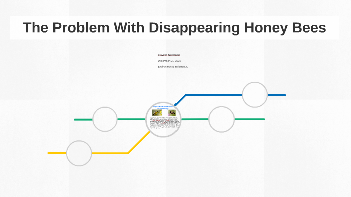 Disappearing Bees by Brayden Nordquist on Prezi