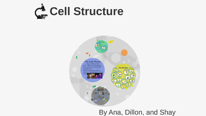 The Story of the Cell Structure by Ana McCabe on Prezi