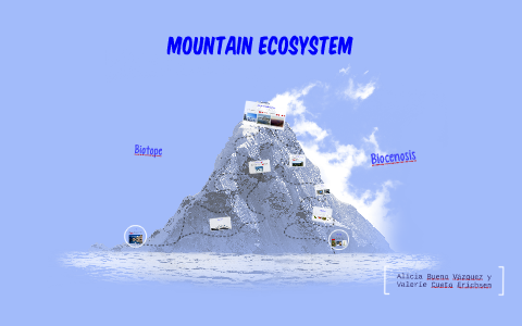 Mountain Ecosystem by Valerie CE