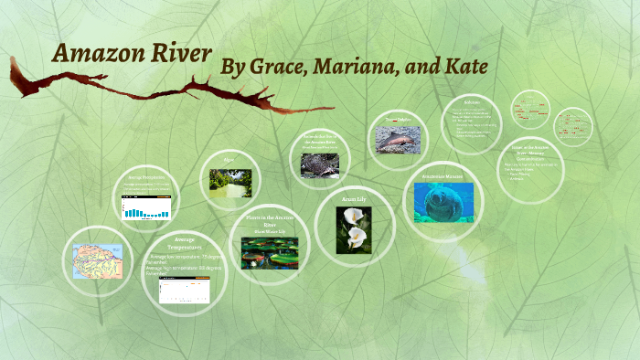 Amazon River Biome by Kate Nelson on Prezi