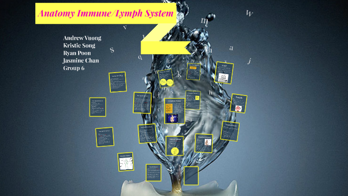 Anatomy Immune/Lymph System by Andrew Vuong on Prezi