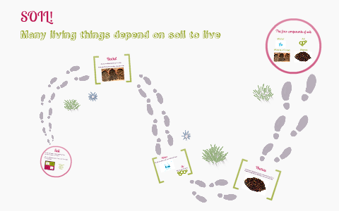 The 4 components of SOIL! by Caitlin Saraceno on Prezi