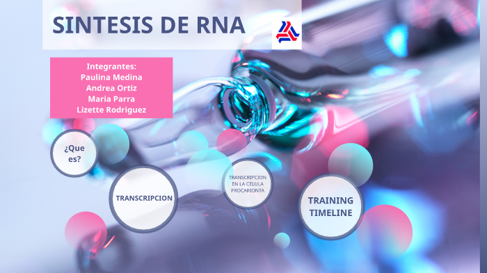 Síntesis de RNA by Lizette Rodriguez on Prezi