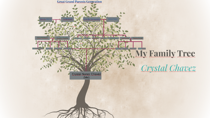 Family Tree Crystal Nunez Chavez by Ruben Chavez on Prezi