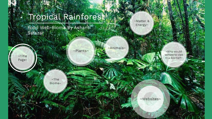 Food Web-Biome In Class Project by ASHANTI SALAZAR on Prezi