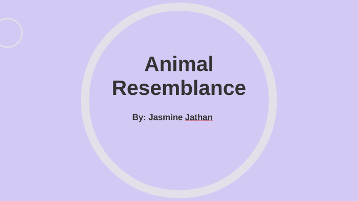 Animal Resemblance by jasmine jathan on Prezi