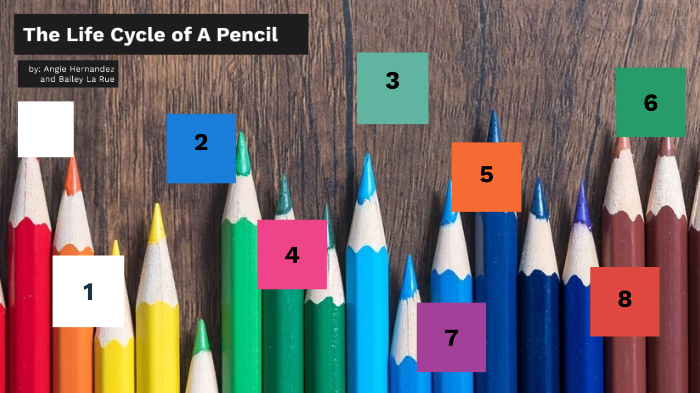 The Life Cycle of A Pencil by Bailey La Rue on Prezi
