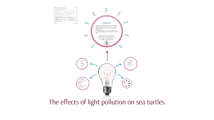 The effects of light pollution on sea turtles by Nini Nguyen on Prezi