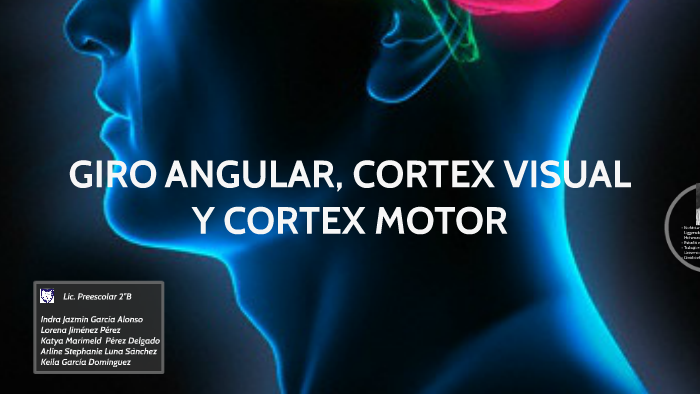GIRO ANGULAR, CORTEX VISUAL Y CORTEX MOTOR by Katya Marimeld on Prezi