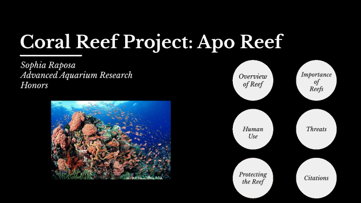 Coral Reef Infographic by Sophia Raposa on Prezi