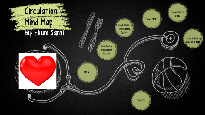 Circulation Mind Map by Ekum Sarai on Prezi