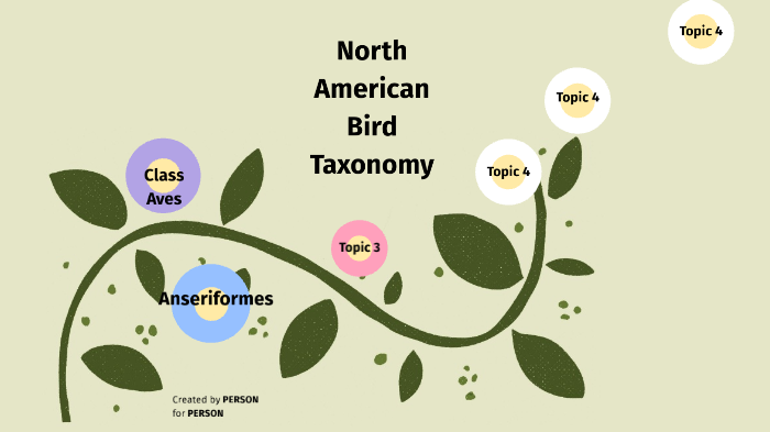 Avian Taxonomy and Identification Information by Charlie Plimpton on Prezi