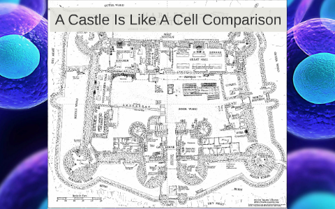 Castle to Cell Comparison by Matthew Bennett on Prezi