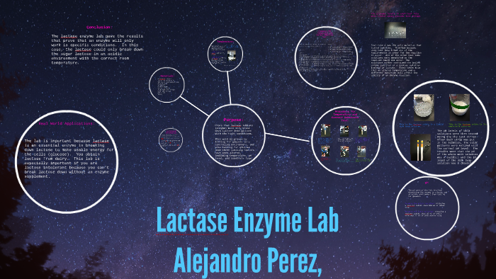 Lactase Enzyme Lab by group work