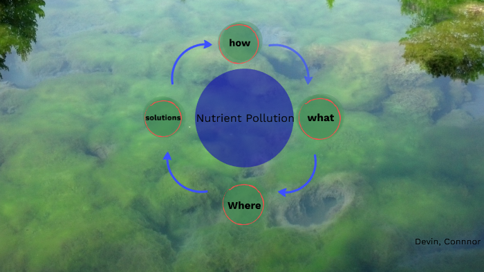 Nutrient pollution by Devin De Silva - Edenwood MS (1564) on Prezi