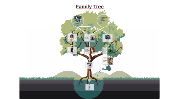 My family tree by tony contreras on Prezi