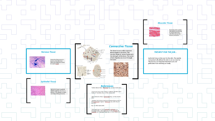 Connective Tissue by Emily Bolick on Prezi