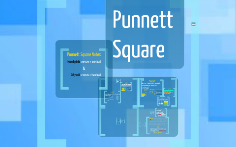 Punnett Square Notes by Devin Weiss on Prezi