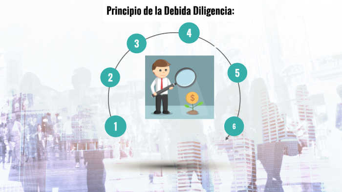 Principio de la debida diligencia by Sebastian Vásquez on Prezi