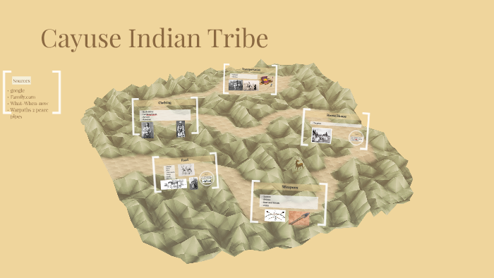 Cayuse Indian Tribe by Sarah Richardson on Prezi