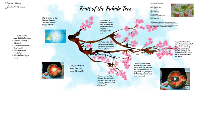 Fruit of the Puhala Tree by Daniela Ramirez on Prezi