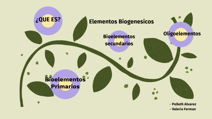 Elementos Biogenésicos by valeria ferman on Prezi