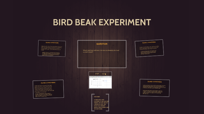 BIRD BEAK EXPERIMENT by mike webb on Prezi