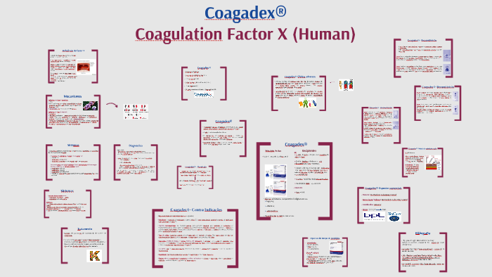 COAGADEX by Daniela Costa on Prezi