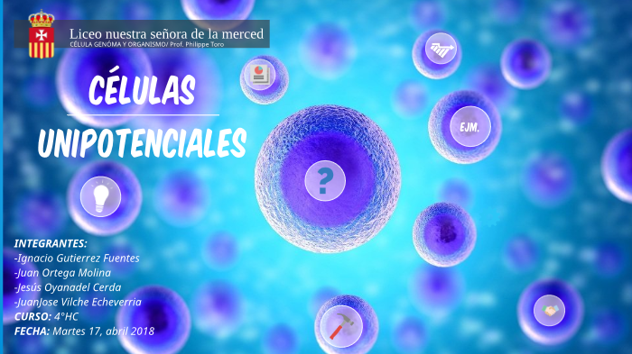 Células Unipotenciales by Jesús Oyanadel on Prezi