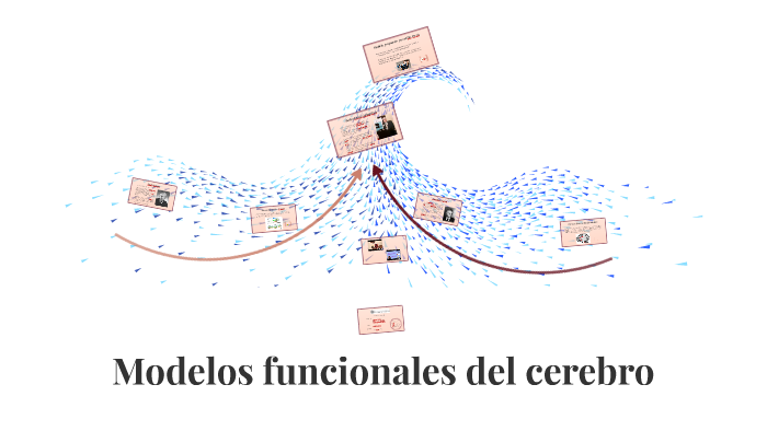 Modelos funcionales del cerebro by Nicole Doig Diaz on Prezi