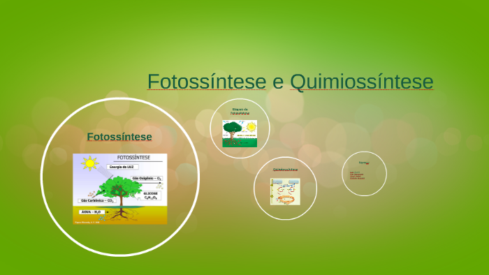 Fotossíntese e Quimiossíntese by lucas freitas on Prezi