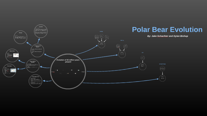 Polar Bear Evolution Project by Jake Schachter on Prezi