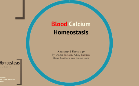 Blood Calcium Homeostasis by Annie Barraza on Prezi
