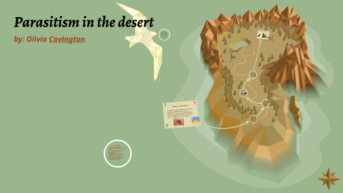 Mutualism in the desert by Livvy Covington on Prezi