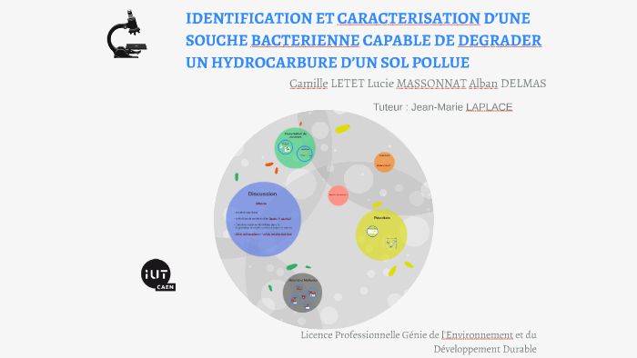 IDENTIFICATION ET CARACTERISATION D’UNE SOUCHE BACTERIENNE C by alban ...