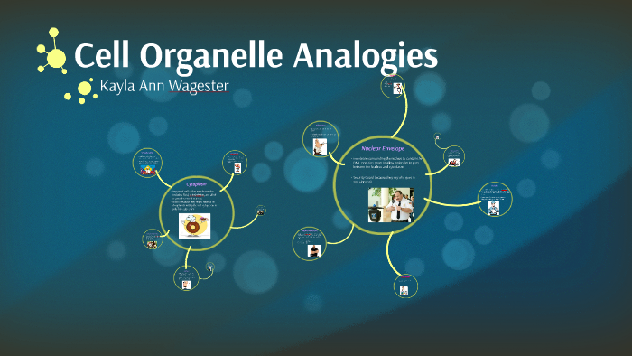 Cell Organelle Analogies by Kayla Ann Wagester on Prezi