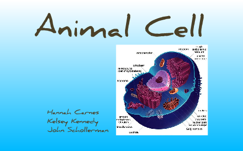 Cell Organelle PowerPoint by Kelsey Kenndey on Prezi