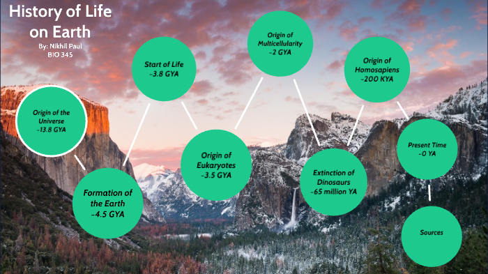 Evolution Activity 2 Timeline by Nikhil Paul on Prezi