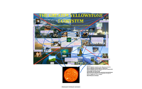 The Greater Yellowstone Ecosystem Infographic by Nish S on Prezi