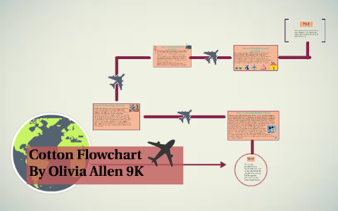 Cotton Flowchart by Olivia Allen on Prezi